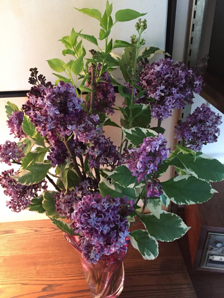 Happy Spring—Renewal, Rejuvenation, and Type